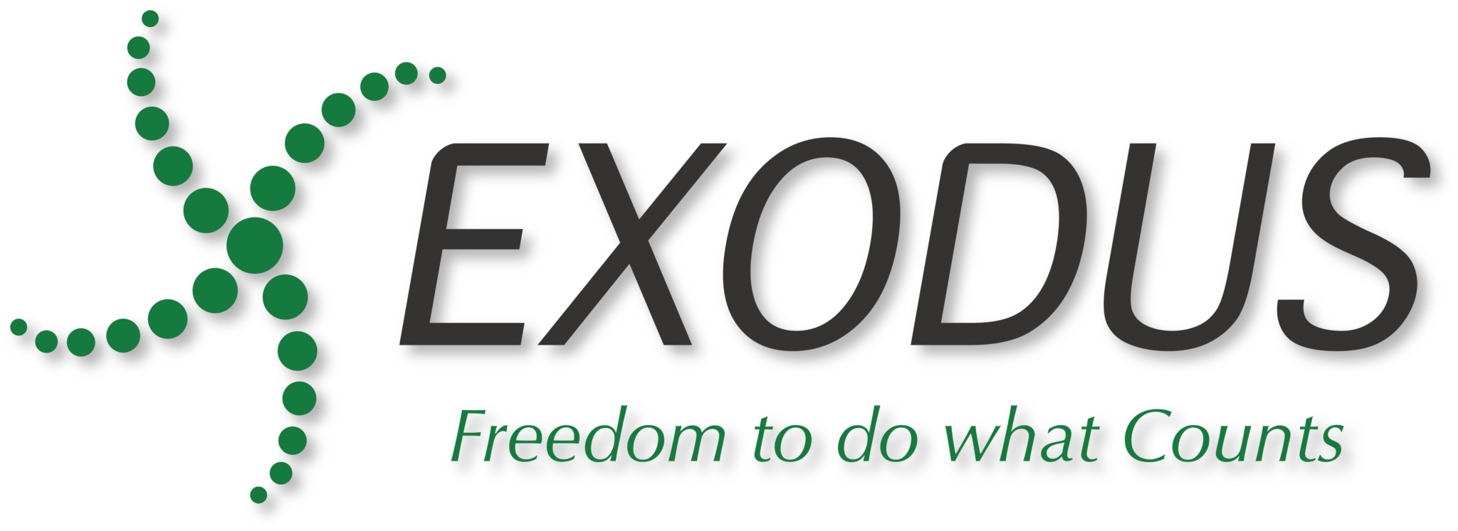 IT Services Company in Tanzania | Exodus Technologies